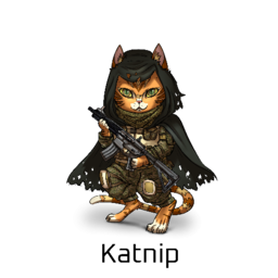 Katnip's R6: Siege Overview Stats - Rainbow Six Siege Tracker