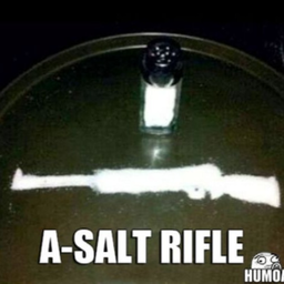 R6Tracker - AS-SALT-Rifle - Rainbow Six Siege Player Stats