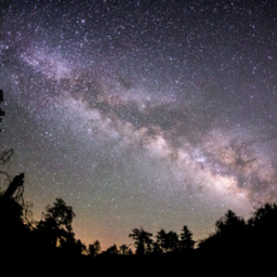 Ice.R6's R6: Siege Overview Stats - Rainbow Six Siege Tracker