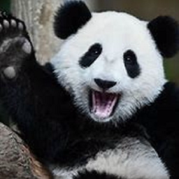 R6: Siege Leaderboard Rank Points - Rainbow Six Siege Tracker