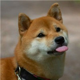 R6GPT-Copper's R6: Siege Overview Stats - Rainbow Six Siege Tracker