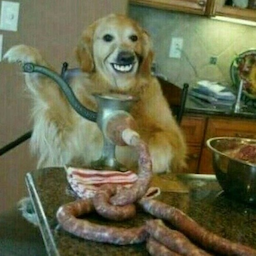 s6x_Agent's R6: Siege Overview Stats - Rainbow Six Siege Tracker