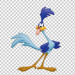 Road_Runner.LT's R6: Siege Overview Stats - Rainbow Six Siege Tracker