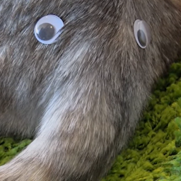 R6Tracker - SolePlayer - Rainbow Six Siege Player Stats