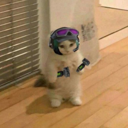 Master-Chef's R6: Siege Operators Stats - Rainbow Six Siege Tracker