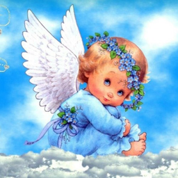 Angel.-'s R6: Siege Overview Stats - Rainbow Six Siege Tracker