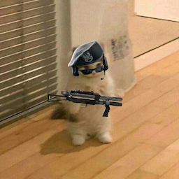 Meet_TSM's R6: Siege Overview Stats - Rainbow Six Siege Tracker