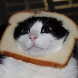 Im.just.a.cat's R6: Siege Overview Stats - Rainbow Six Siege Tracker