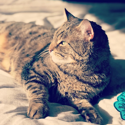 Mystyrium97's XDefiant Overview Stats - XDefiant Tracker