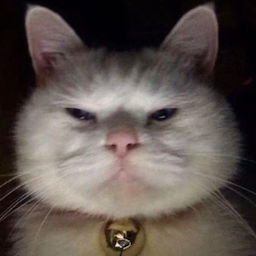 Decadent_Cat's R6: Siege Overview Stats - Rainbow Six Siege Tracker